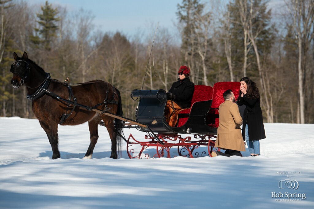 sleighrides - Horse Drawn Sleigh Rides at Loon Meadow Farm in ...